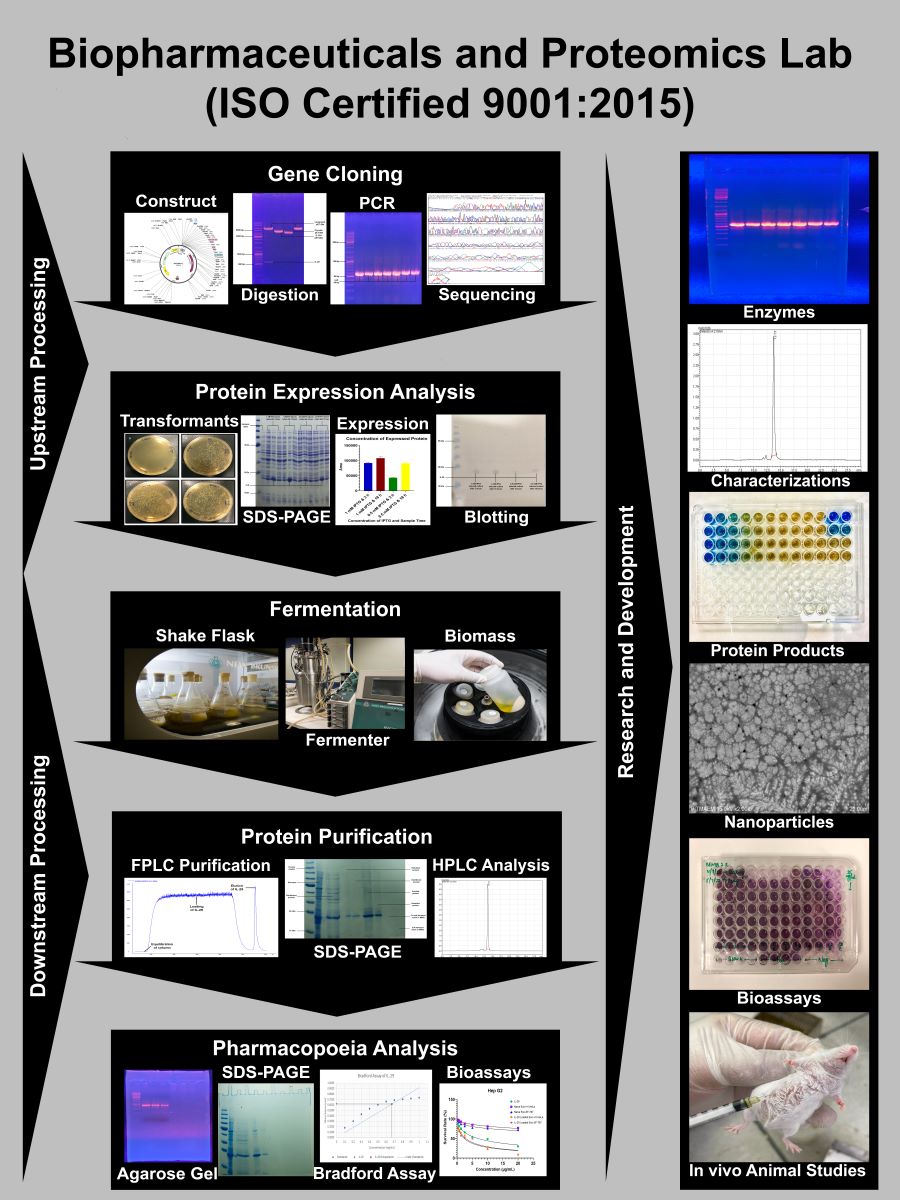 Biopharmaceuticals and Proteomics Lab – Centre of Excellence in ...
